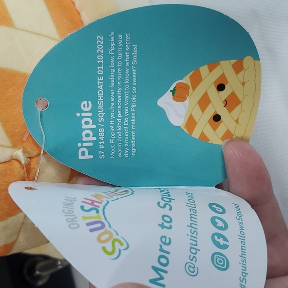 Kellytoy | Toys | Bnwt Pippie The Pumpkin Pie Squishmallows 7 | Poshmark